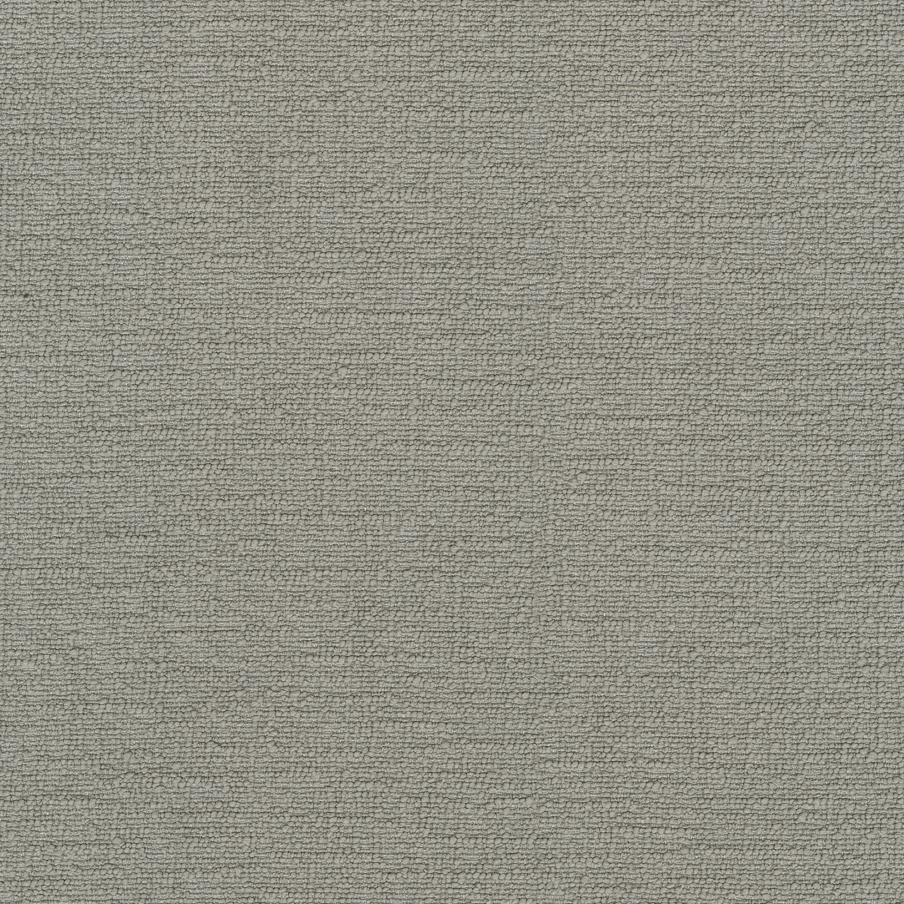 CIRRUS Gray - P/Kaufmann