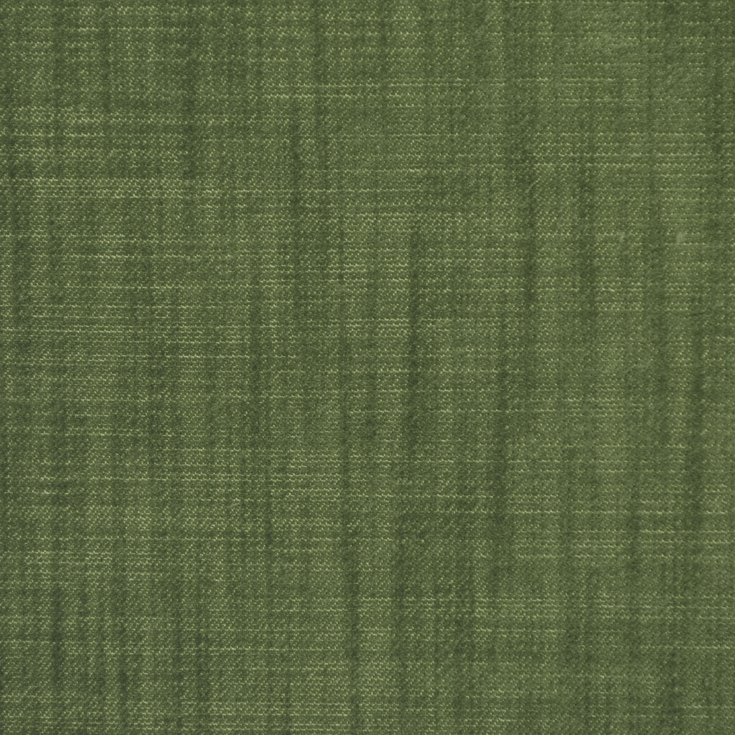 LEWIS Moss - P/Kaufmann