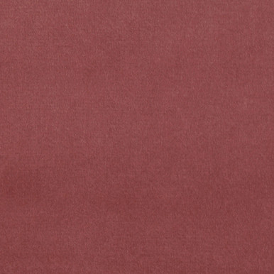 TABOO Tearose - P/Kaufmann