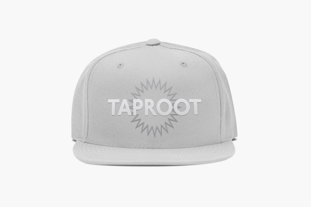 Taproot | Grey on Grey Star | Snapback Hat