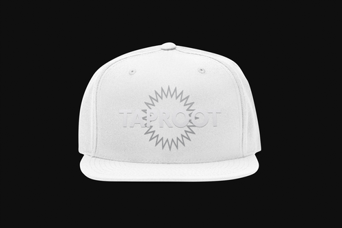 Taproot | Grey Star | Snapback Hat