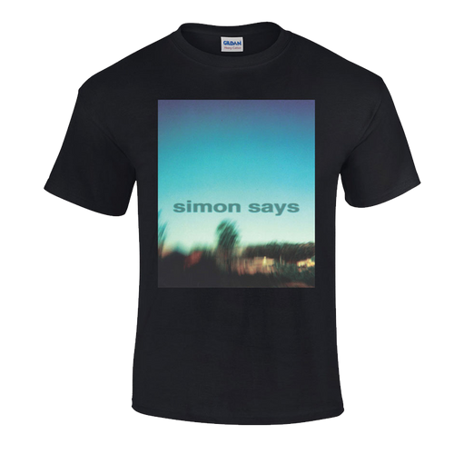 Simon Says | Perfect Example | Mens Tee
