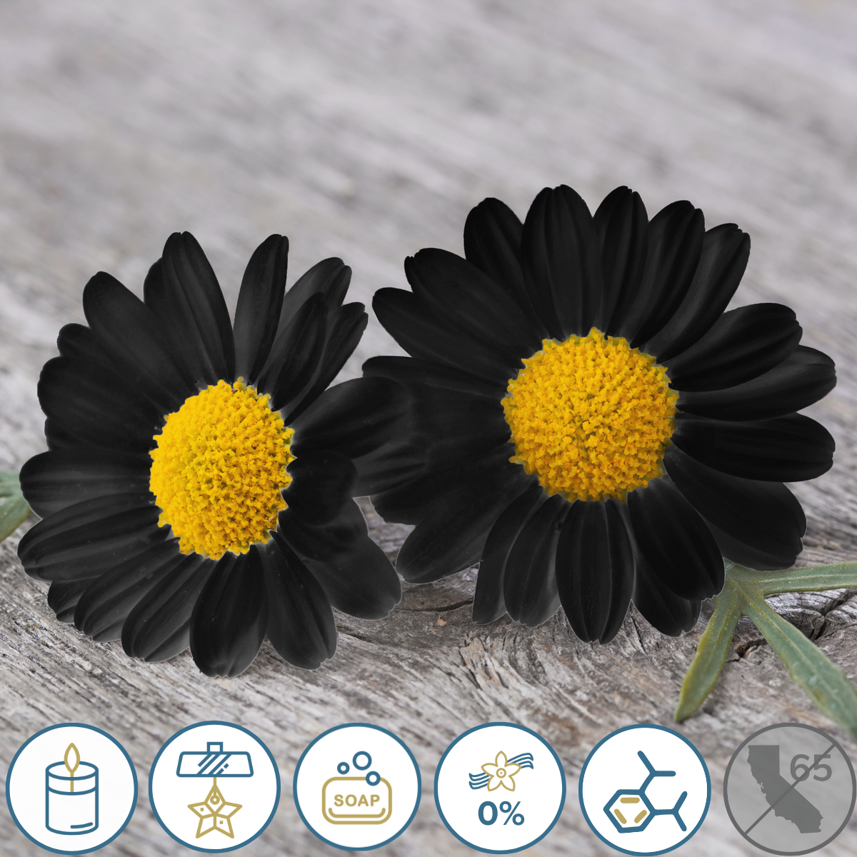 Black Chamomile (type) Fragrance Oil | Lone Star Candle