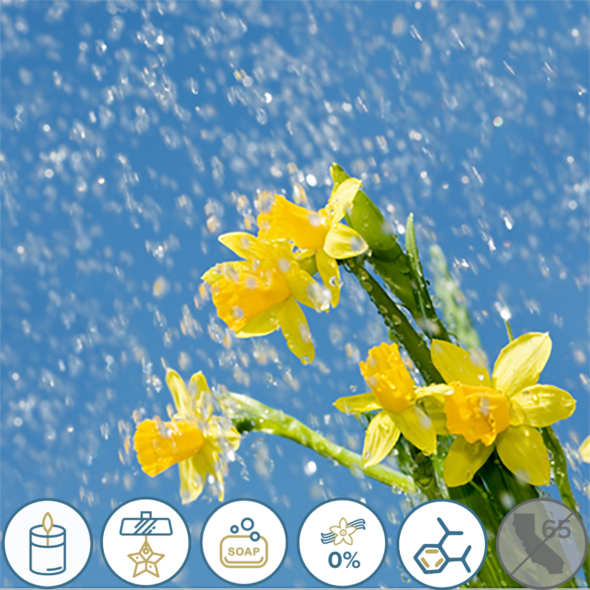 Spring Rain Fragrance Oil - Lone Star Candle Supply