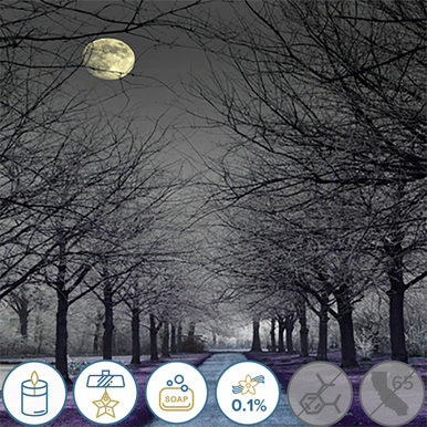 Moonlight Path (type) Fragrance Oil | Lone Star Candle