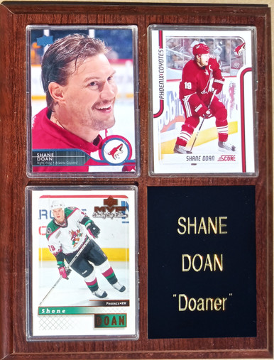 Shane Doan Arizona Coyotes 3-Card 7x9 Plaque