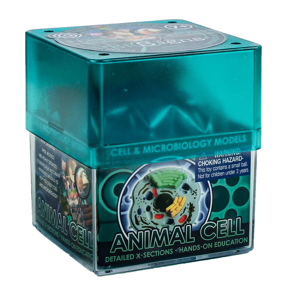 Ein-O Science Animal Cell | TEDCO Toys
