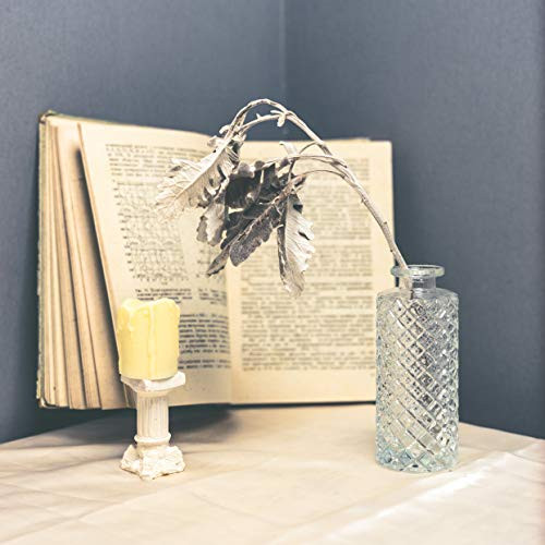 Bitters Bottle Set of 6 - Glass Dasher Bottles to Store and Dash ...