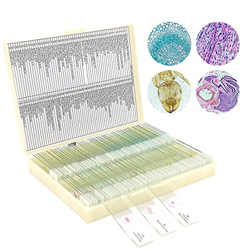 Microscopic Slides