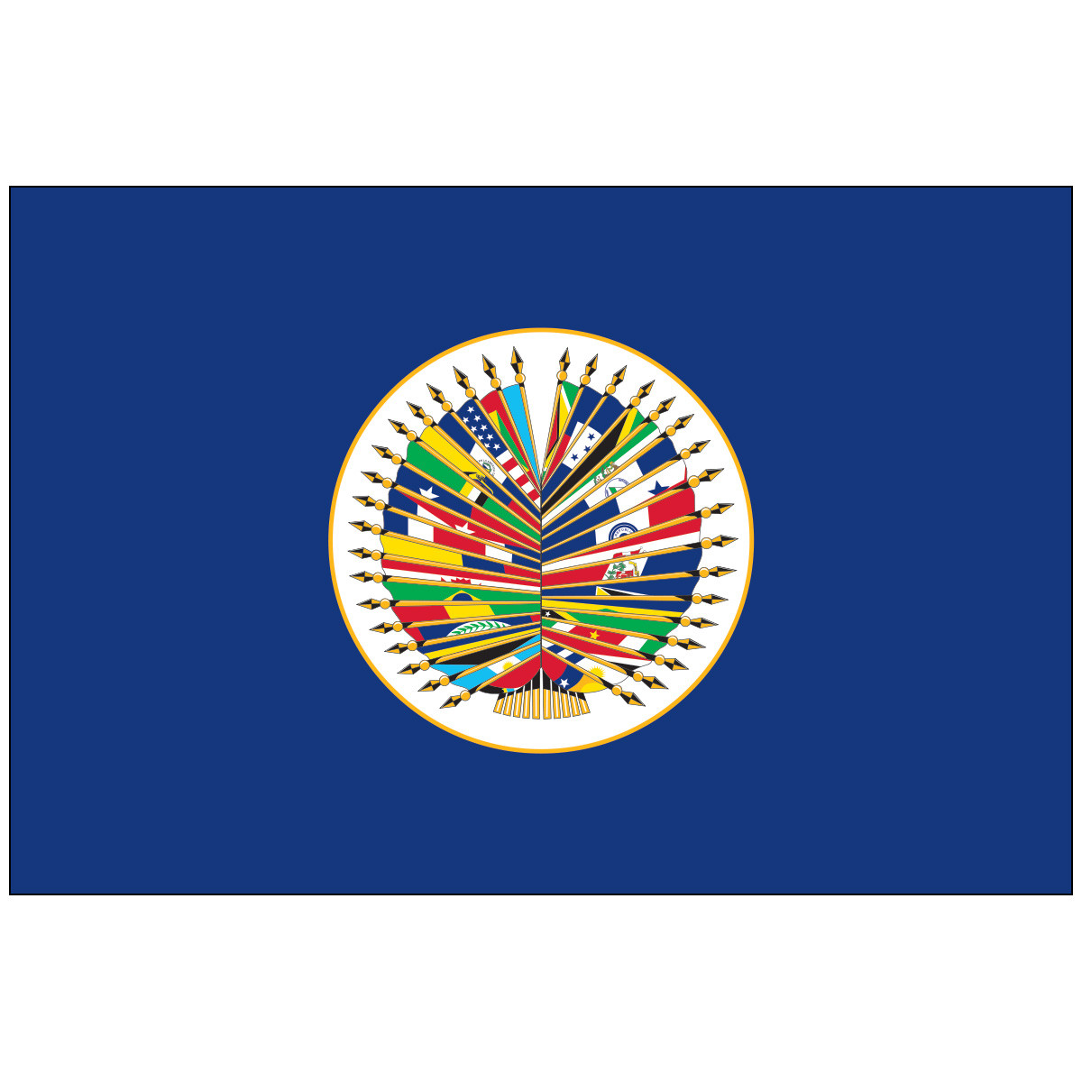 OAS Flag | American Flags Express