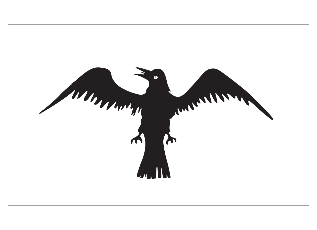 Raven Flag | American Flags Express
