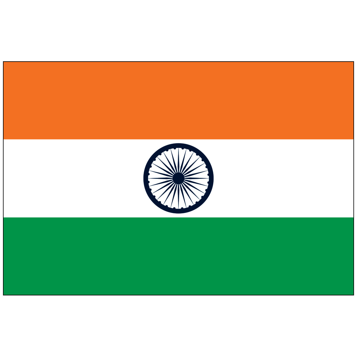 India Flag on a Stick