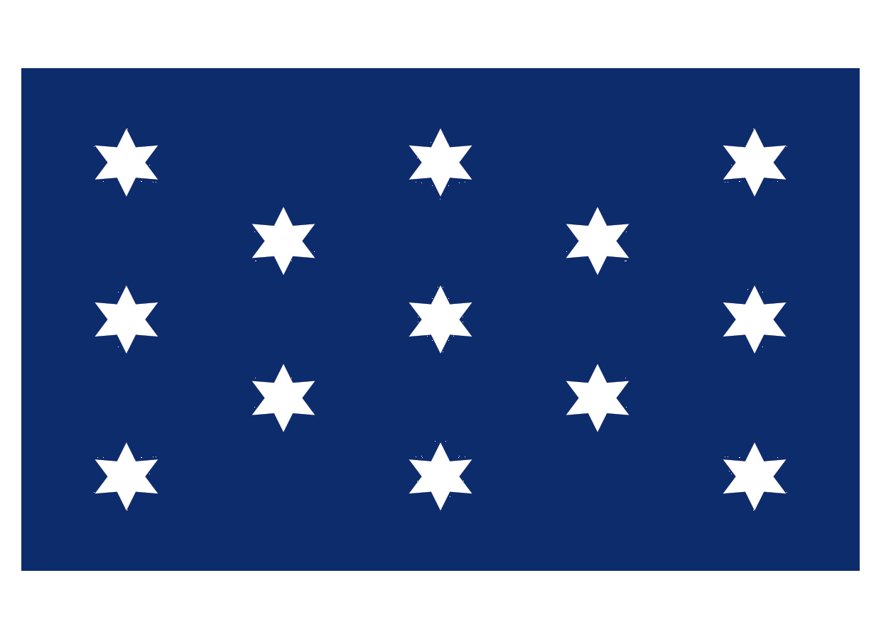 Washington's Commander-In-Chief Flag | American Flags Express