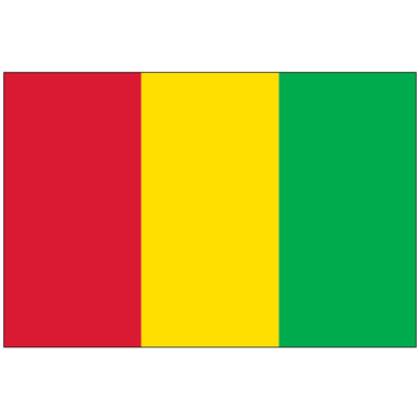 Guinea Flag | American Flags Express