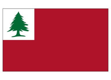 Continental Flag | American Flags Express