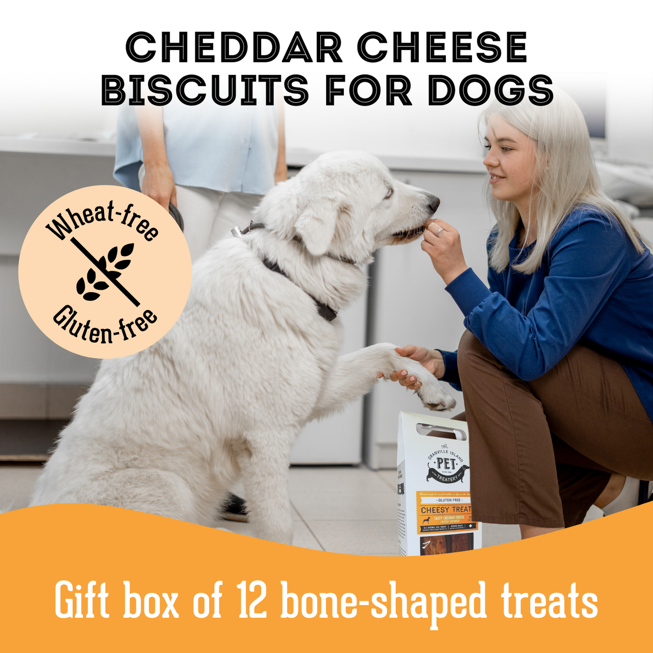 The Granville Island Pet Treatery Dog Treats+ Gift box Cheese Biscuits ...