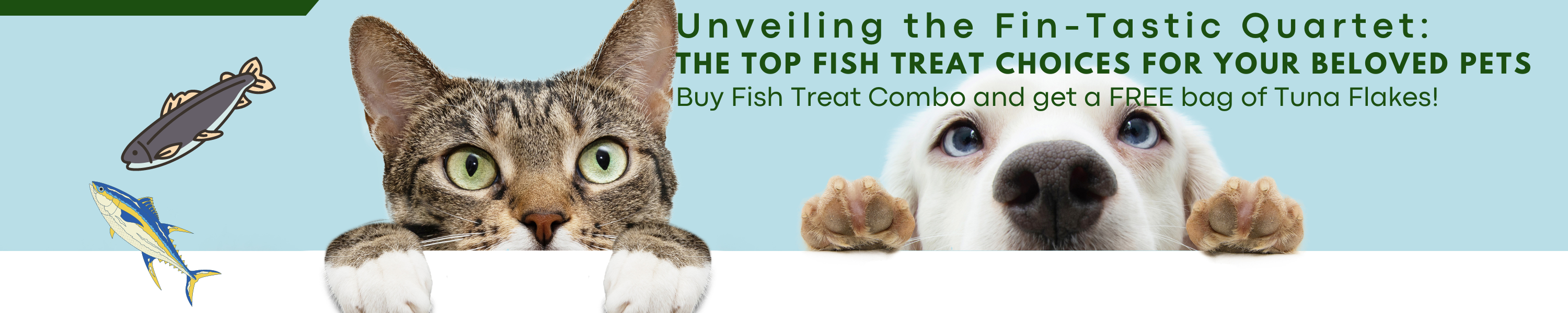 Unveiling the Fin-Tastic Quartet: The Top Fish Treat Choices for Your ...