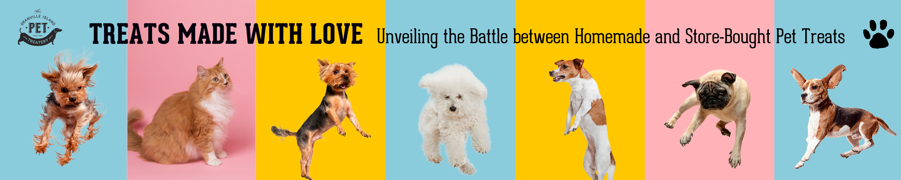 Treats Made with Love: Unveiling the Battle between Homemade and Store ...