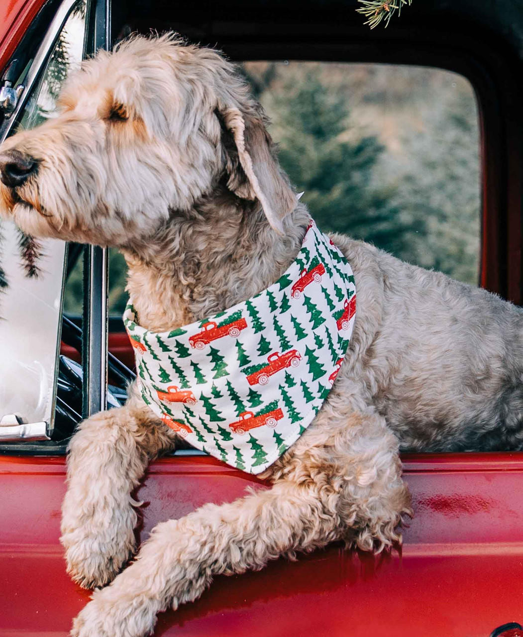 Tailgate Dog Bandana - Lazy One