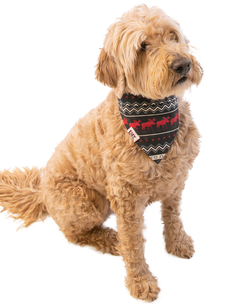 Cabin Moose Dog Bandana