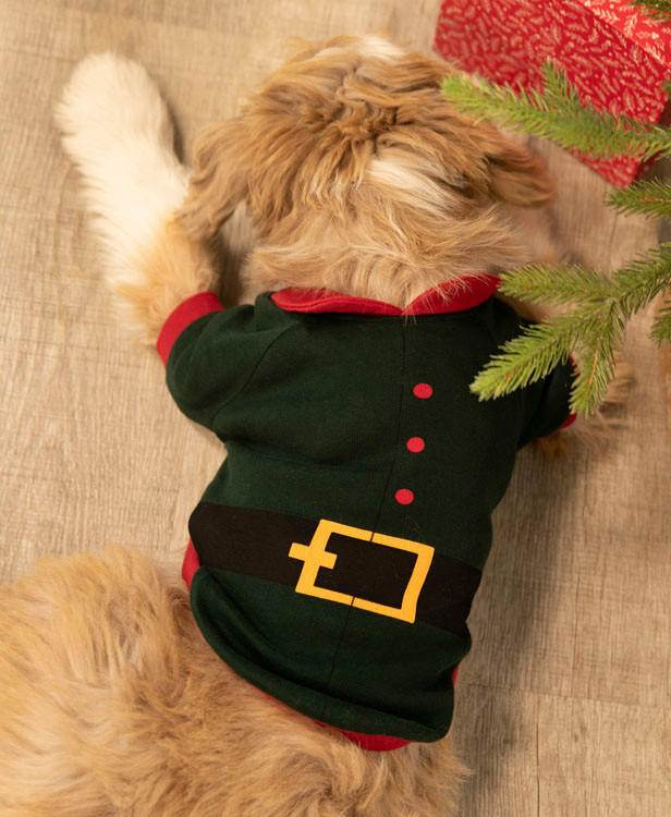 Elf Dog Shirt