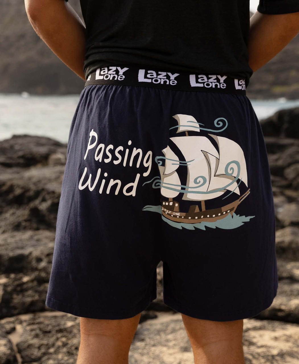 Passing Wind Blue Men's Funny Boxer