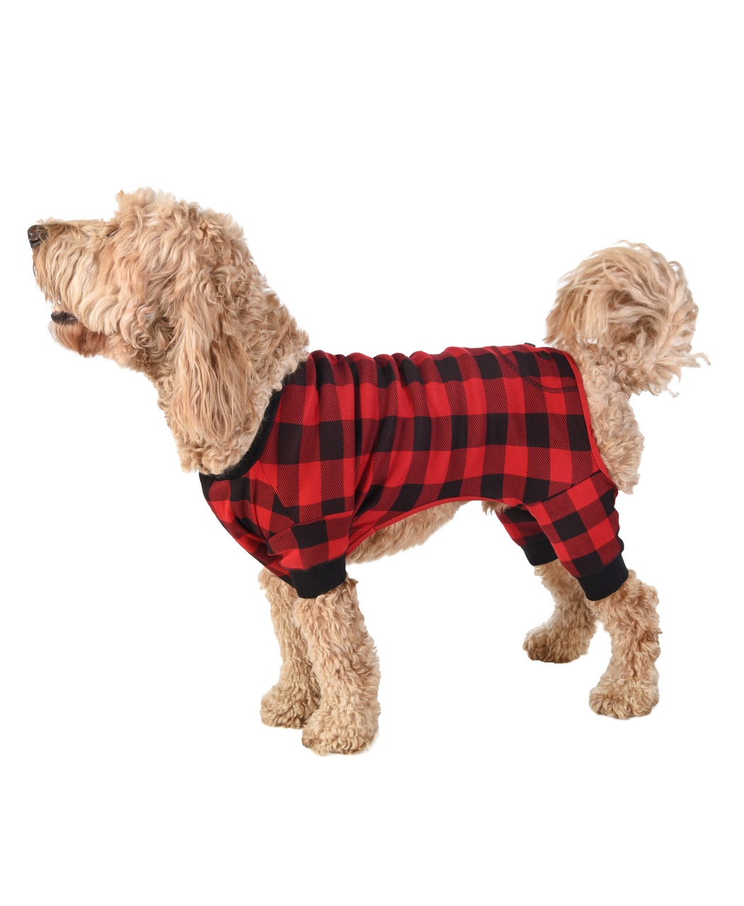 Bear Cheeks Dog Onesie Flapjack | LazyOne