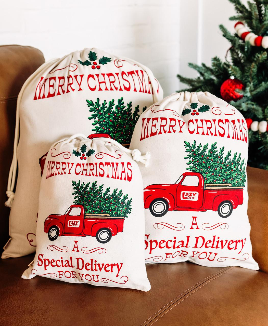 Special Delivery 3-Pack Reusable Gift Bags