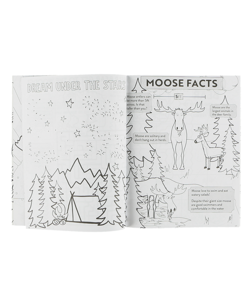 Little Camper Activity Book