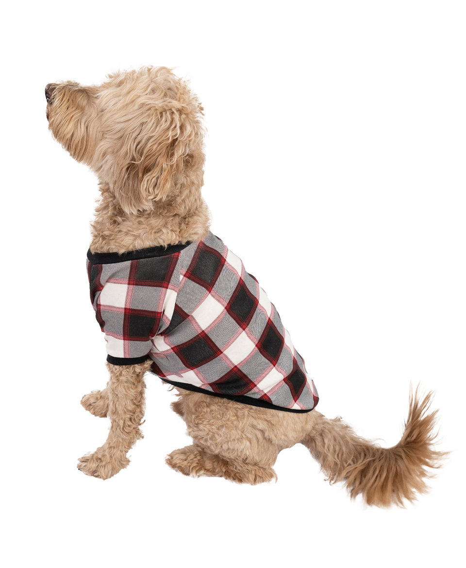 Plaid Dog Shirts, Matching Shirts, and Costumes