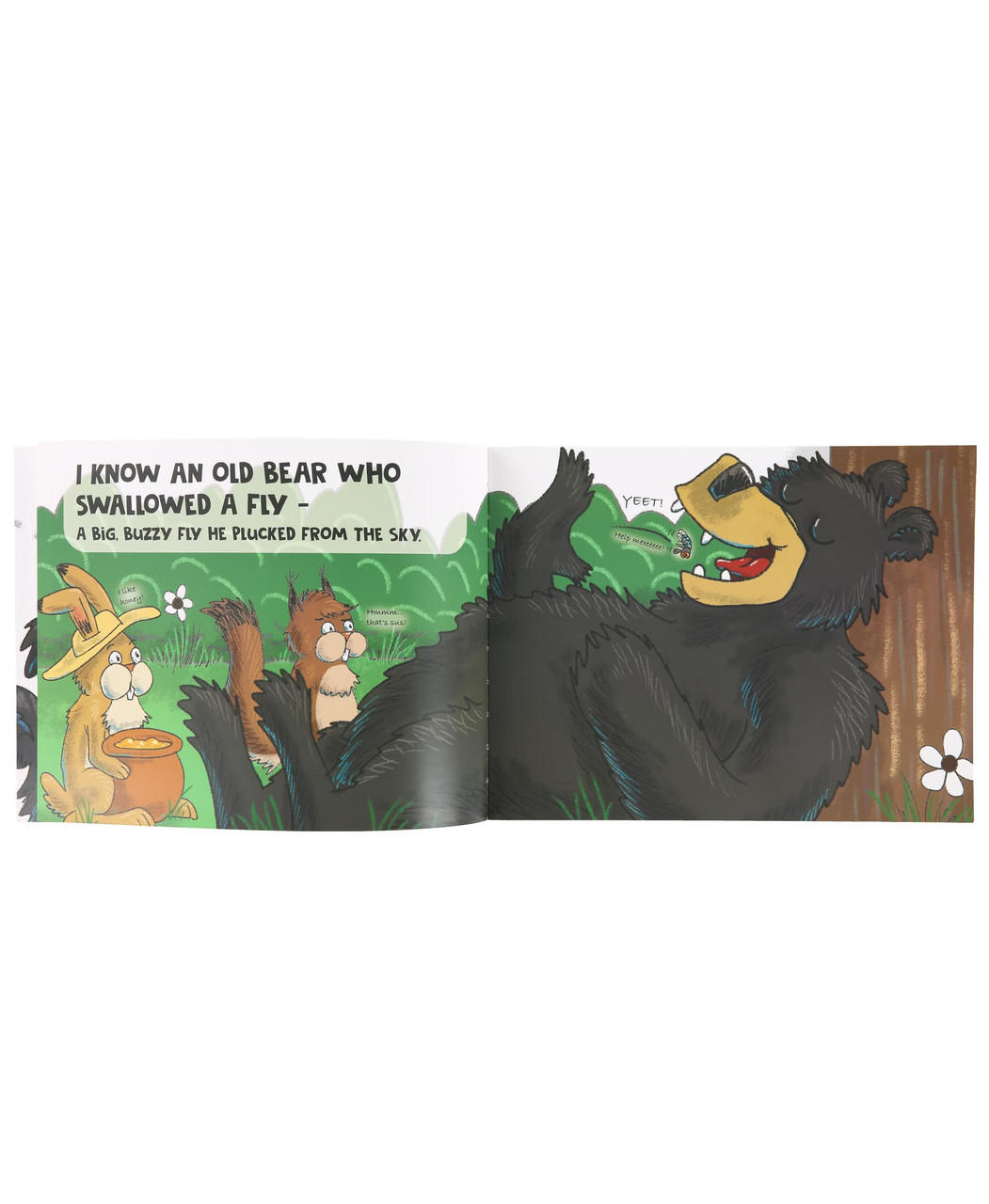 Bear Who Swallowed a Fly Children's Book