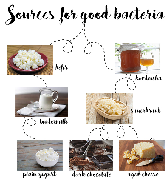 7 Sources For Good Bacteria - BioActive Nutrients