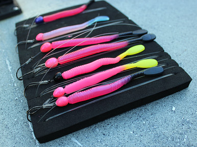 WFO 5.5" 8-Pack Worms
