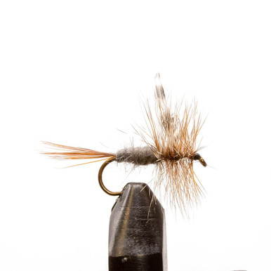 Jackson Hole 001 Adams Fly
