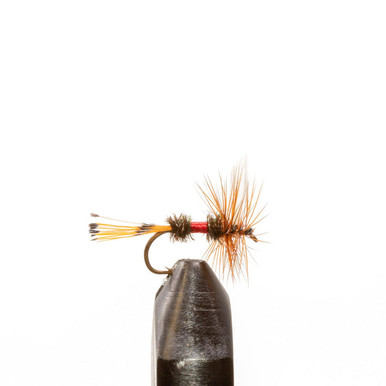 Jackson Hole 047 Royal Coachman Fly