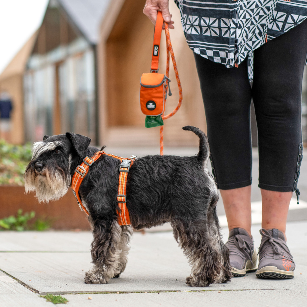 Comfort Walk Air™ Harness - Touchango K9 Ltd