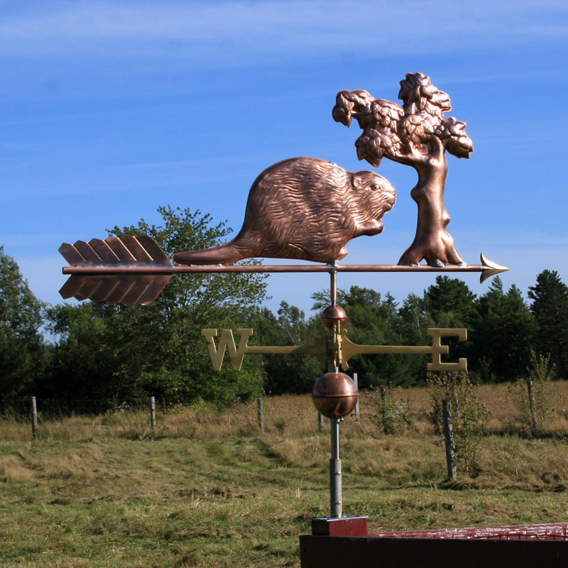 Beaver Weathervane - Made in USA