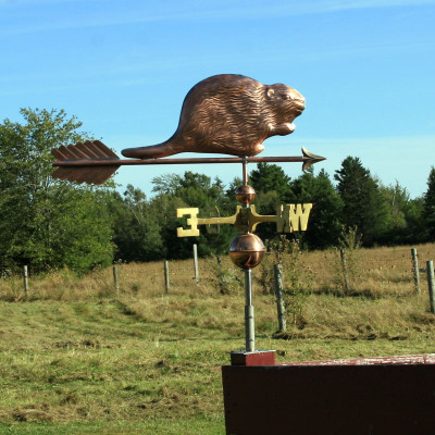 Beaver Weathervane - Made in USA