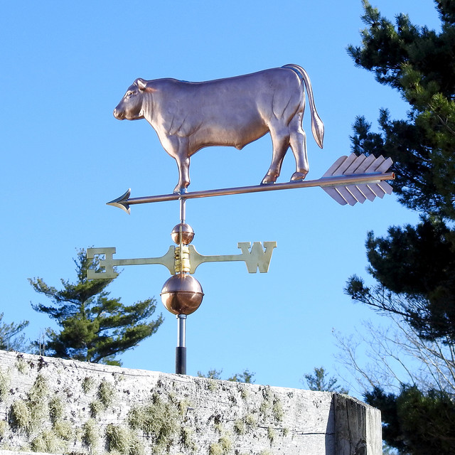 Angus Bull Weathervane - Made in USA