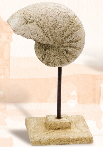 Conch Shell On a Stand - Seaside Treasures - Nautical Decor, Nautical ...