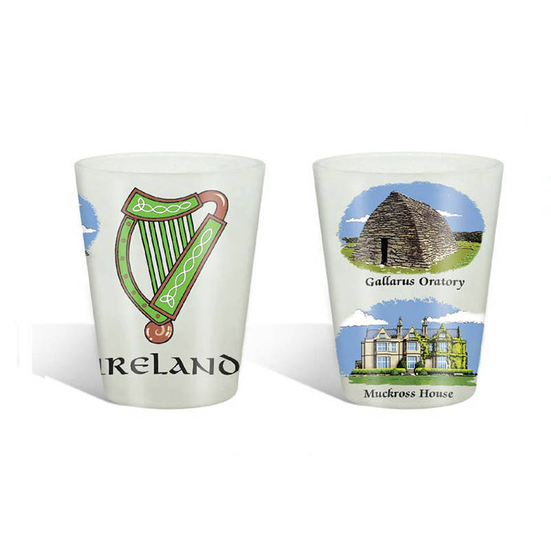 Historic Ireland Frosted Shot Glass | ShamrockGift.com