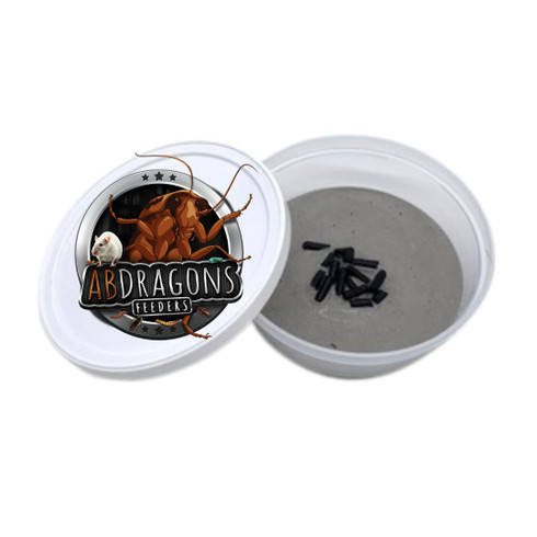 Temperate Springtail Cultures - ABDRAGONS