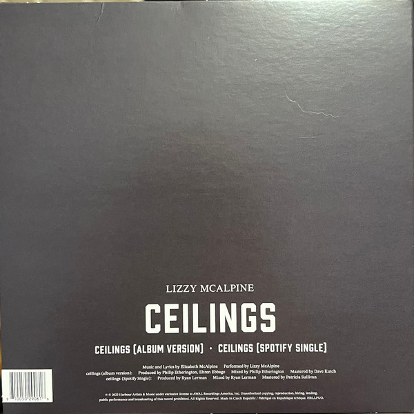 Ceilings - McAlpine, Lizzy (#810050290616) - Omega Music