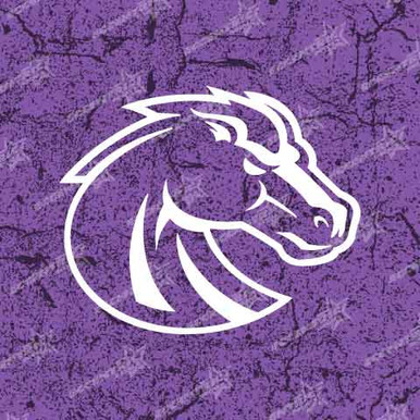 Boise State Broncos Logo Vinyl Decal Sticker - Eccentric Decals