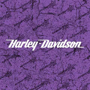 Harley Davidson Script Vinyl Decal Sticker - Eccentric Decals