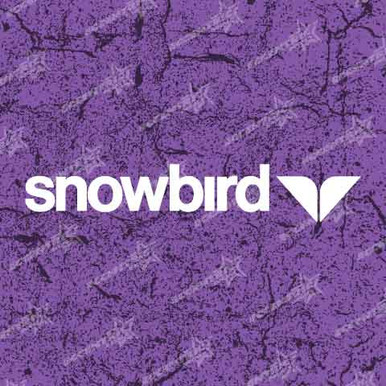Snowbird Vinyl Decal Sticker - Eccentric Decals