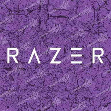 Razer Text Vinyl Decal Sticker - Eccentric Decals