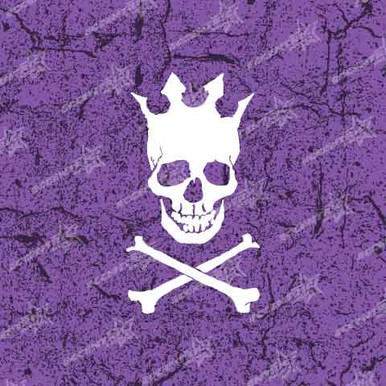 Pearl Jam Riot Act Skull And Crossbones Vinyl Decal Sticker - Eccentric ...