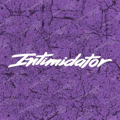 Dale Earnhardt Intimidator Vinyl Decal Sticker - Eccentric Decals
