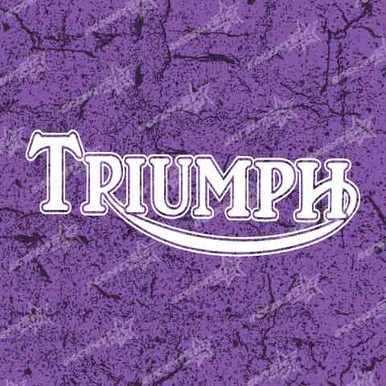 Triumph Vinyl Decal Sticker - Eccentric Decals
